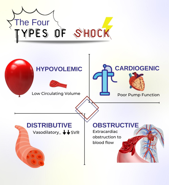 Nursing Shock